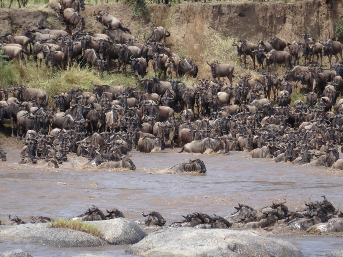 3-Day Safari Itinerary for Serengeti National Park