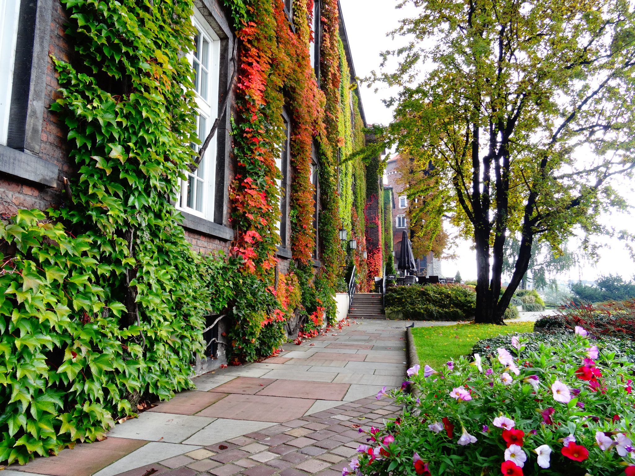 Moving to Vancouver: Everything You Need to Know