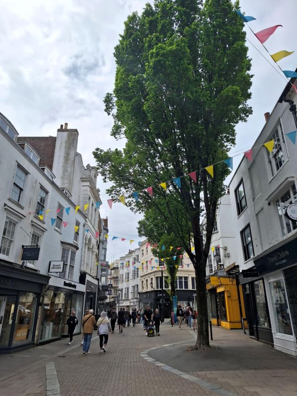 How to Spend One Day in Brighton (Brighton Day Trip Itinerary)