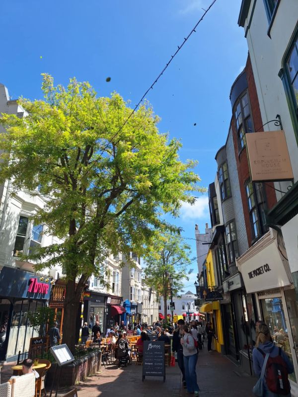 How to Spend One Day in Brighton (Brighton Day Trip Itinerary)