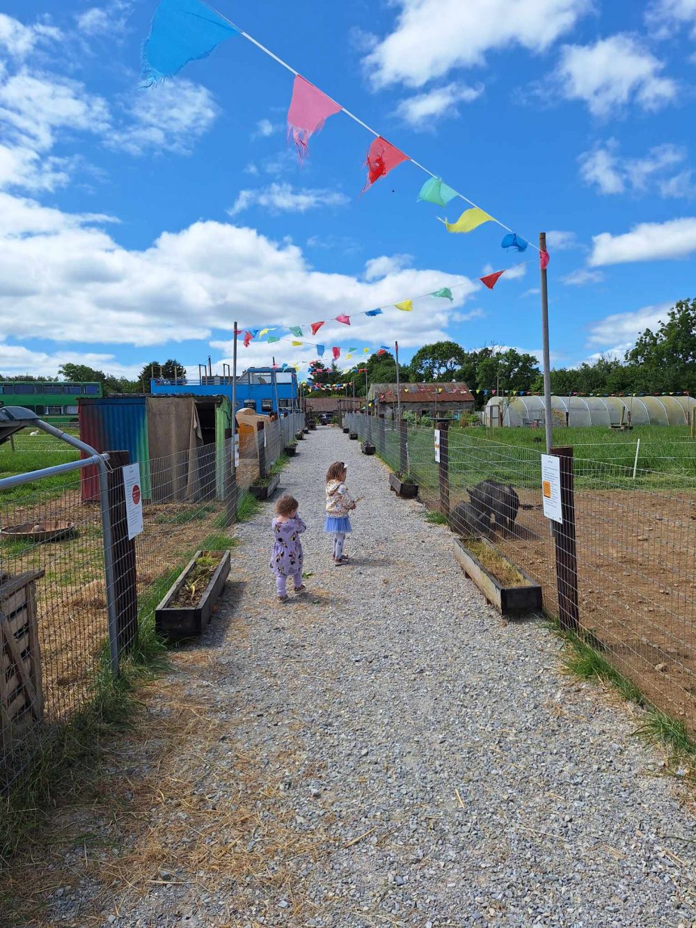 What to Do in Cork, Ireland With Kids?