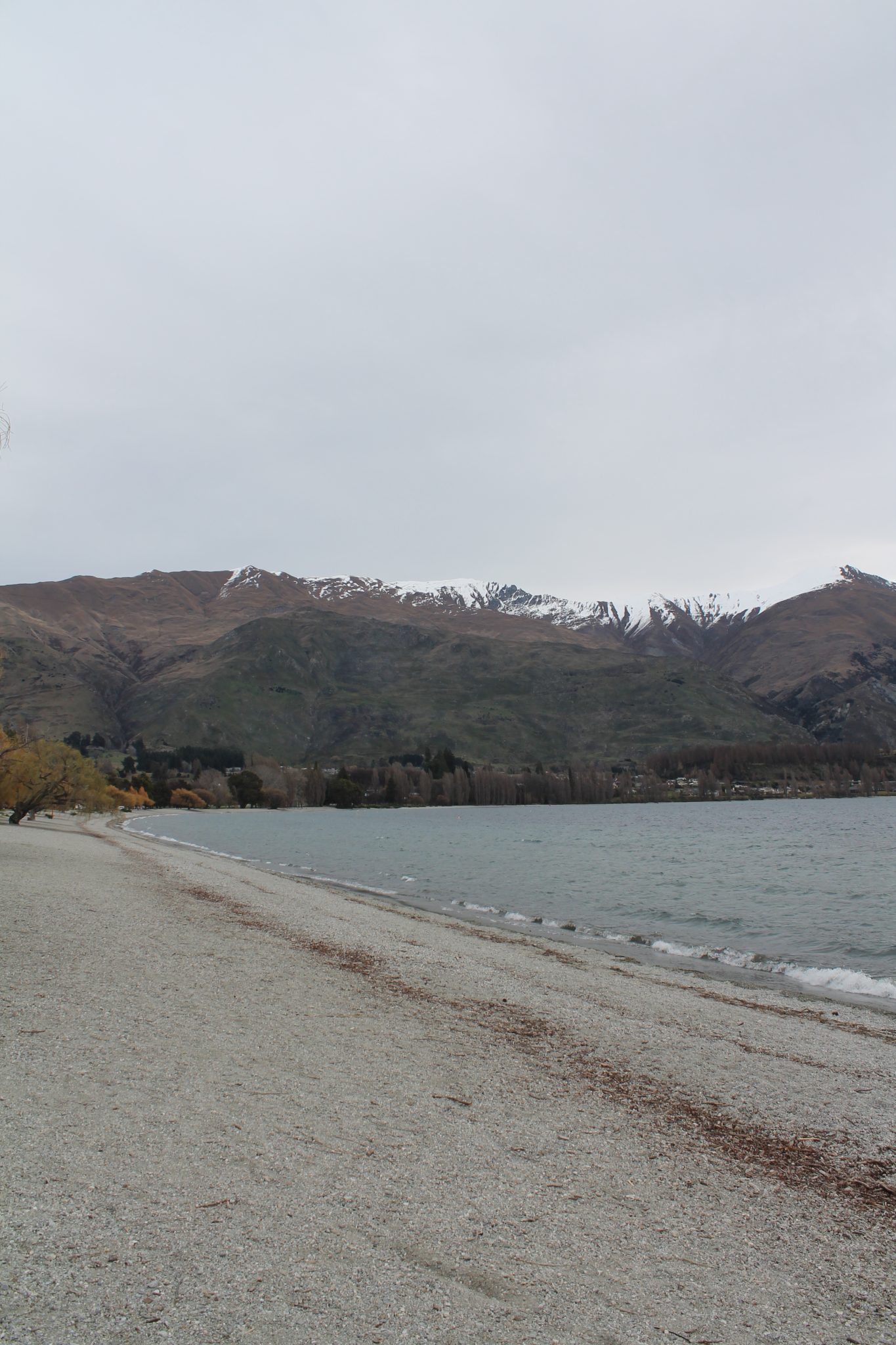 19 Amazing Things to Do in Queenstown in the Summer (A Unique List)