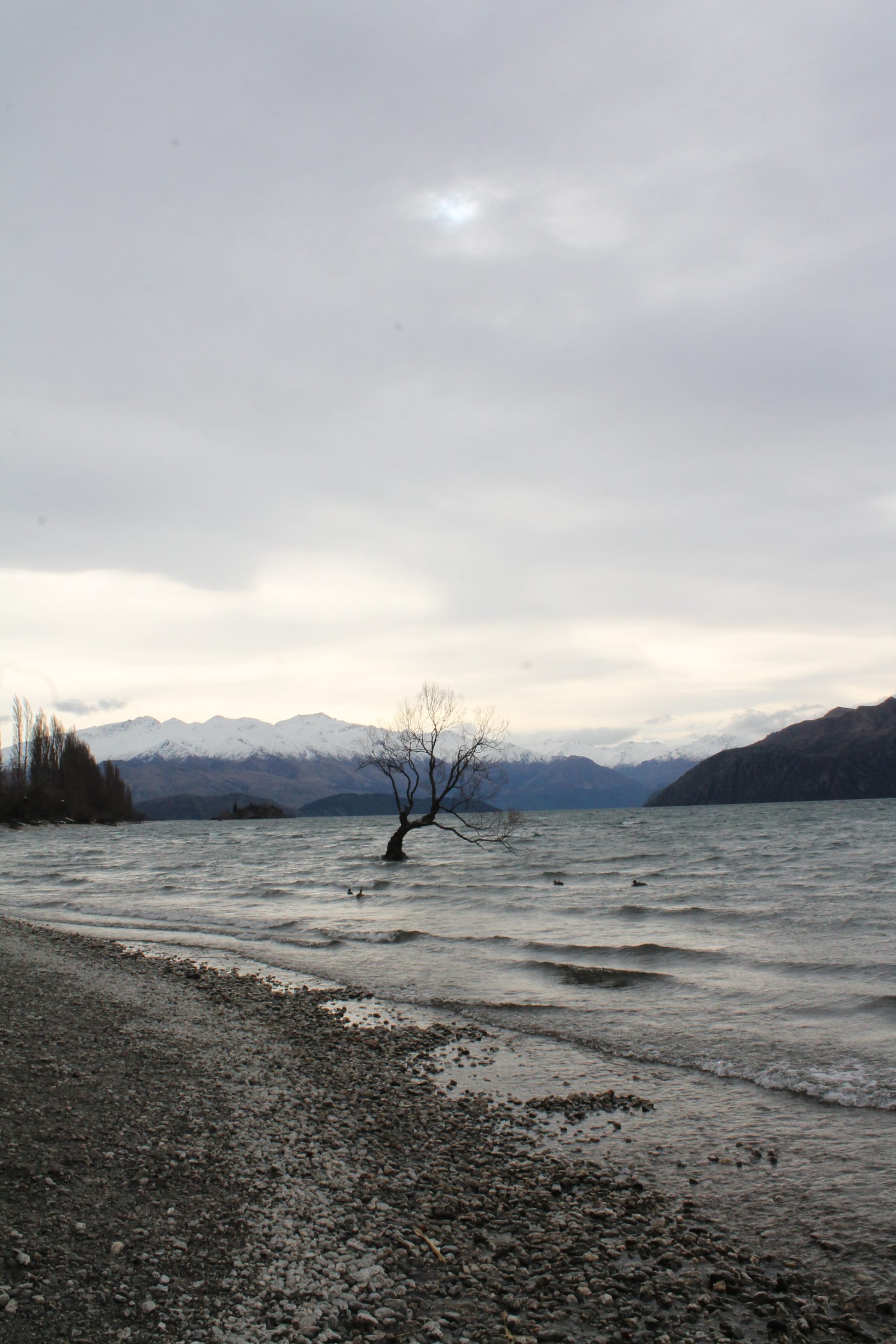 19 Amazing Things to Do in Queenstown in the Summer (A Unique List)