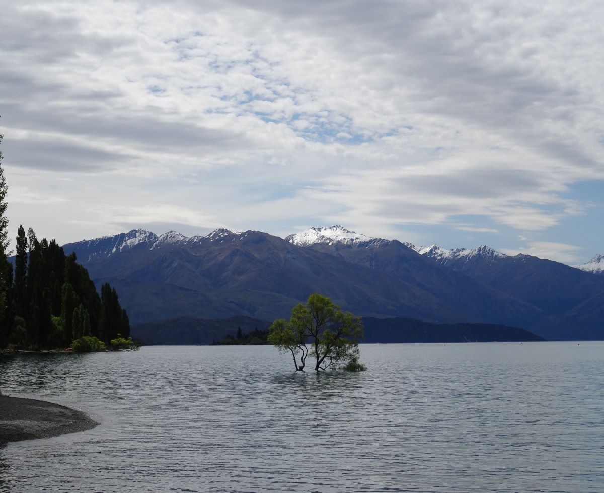 Road trip from Queenstown to Mount Cook (10 Best Stops)