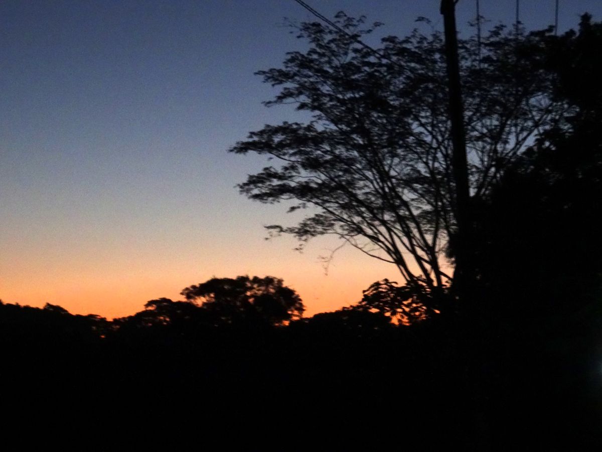 How to Spend 3 Days in Palenque, Mexico