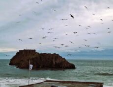 How to spend one day in Tenby, Wales